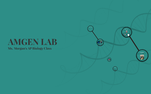 AMGEN LAB by on Prezi