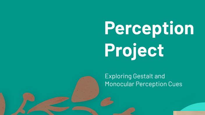 Perception Project by Vaiby N on Prezi