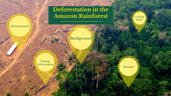 Deforestation in the Amazon by Ariana Campbell on Prezi