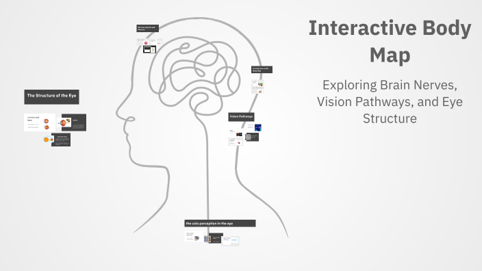 Interactive Body Map by Vicente Javier Tello Alvarez on Prezi