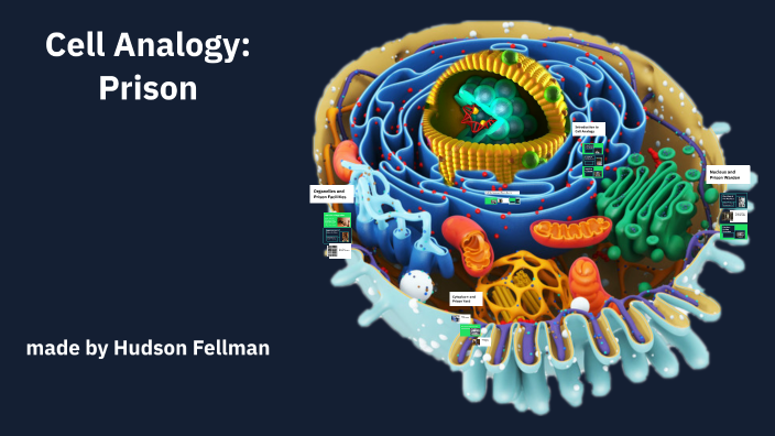 Cell Analogy: Prison by Hudson Fellman on Prezi