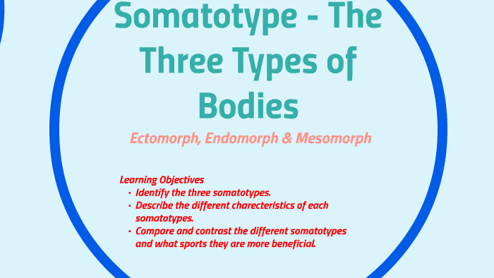 Somatotypes - The three types of bodies by Jennie Phillips on Prezi