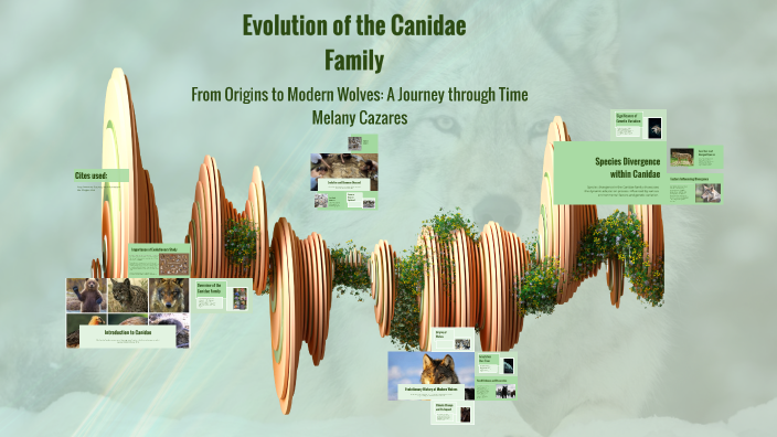 Evolution of the Canidae Family by Melany Cazares on Prezi