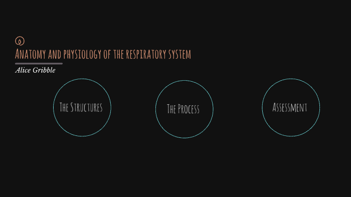 Respiratory study day by Alice Gribble on Prezi