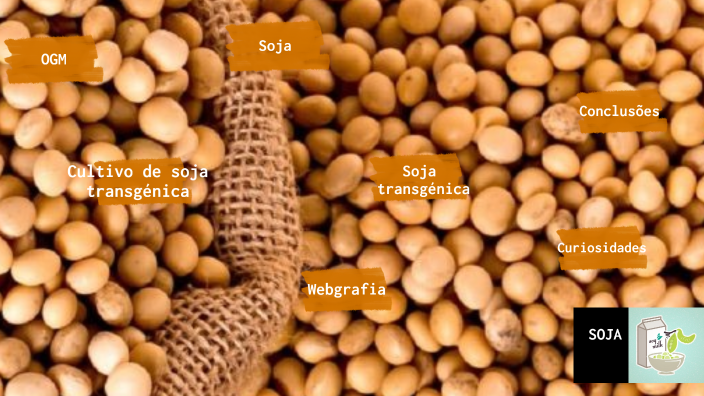 Soja OGM by Bárbara Almeida on Prezi