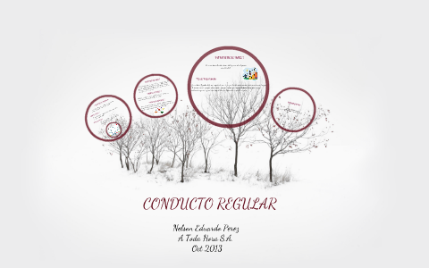 CONDUCTO REGULAR by nelson perez on Prezi