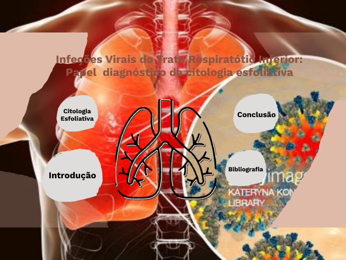 Cito by Lara Costa on Prezi