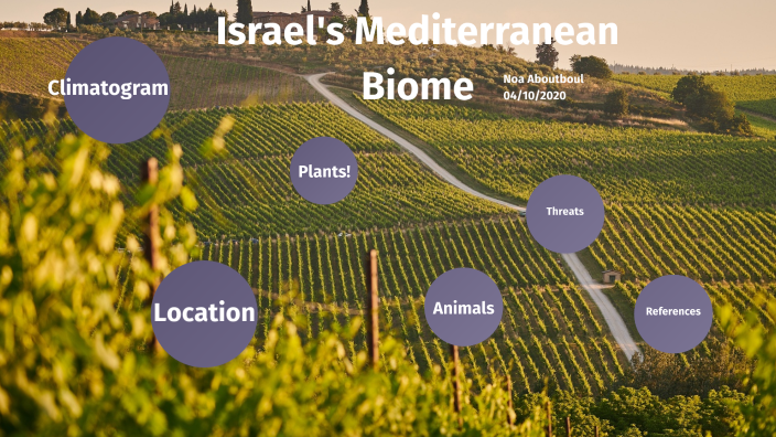 Biomes In Israel- Mediterranean by Noa Aboutboul on Prezi