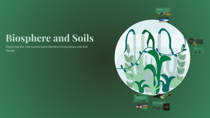 Biosphere and Soils by Sorina Cojocaru on Prezi
