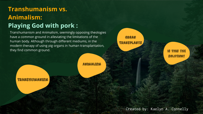 Animal & Religion by Kaelyn Connelly on Prezi