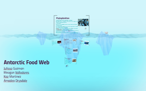 Antarctic Food Web by Julissa Guzman on Prezi