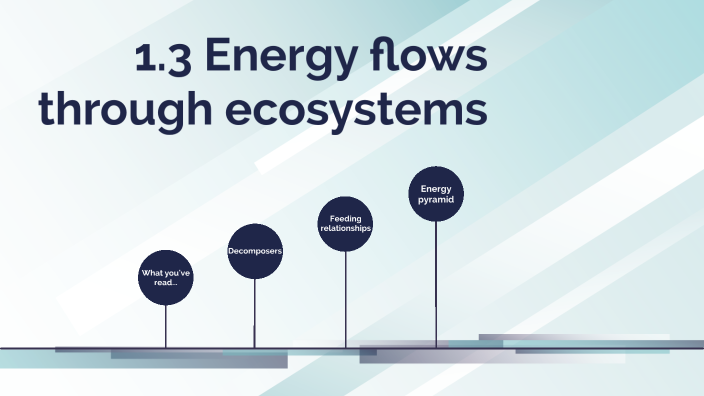 1.3 Energy flows through ecosystems by Hannah Knobel on Prezi