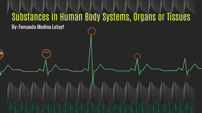Substances in Human Body Systems, Organs or Tissues by Fernanda Medina ...