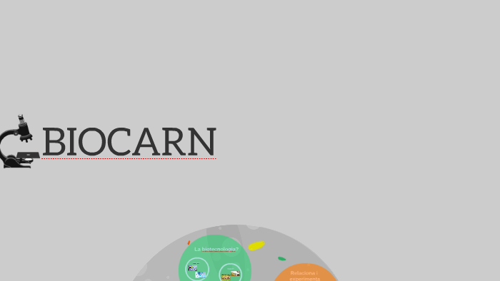 BIOCARN by Natàlia Lorenzo on Prezi