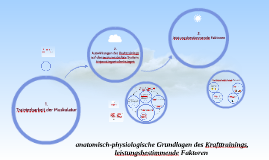 3. anatomisch-physiologische Grundlagen des Krafttrainings by Maria ...