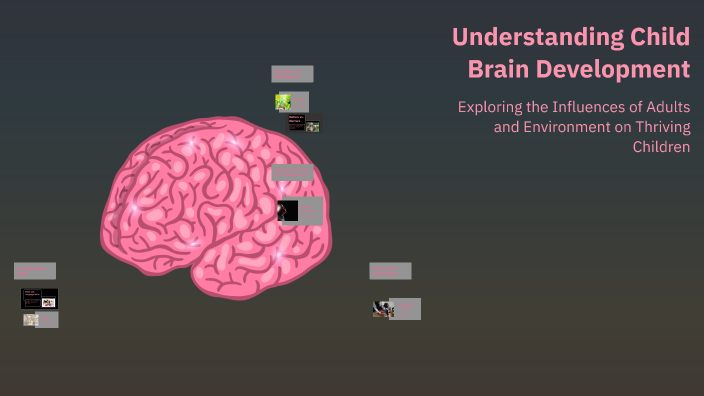 Understanding Child Brain Development by Hampton Persaud on Prezi