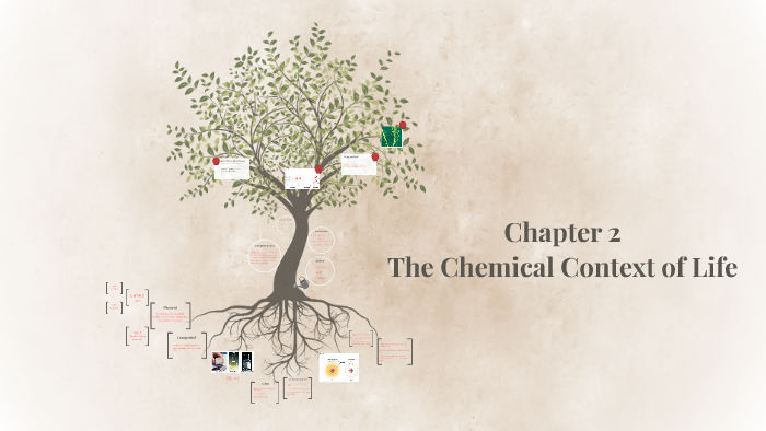 Chapter 2 The Chemical Context of Life by Nirupama Narayanan on Prezi
