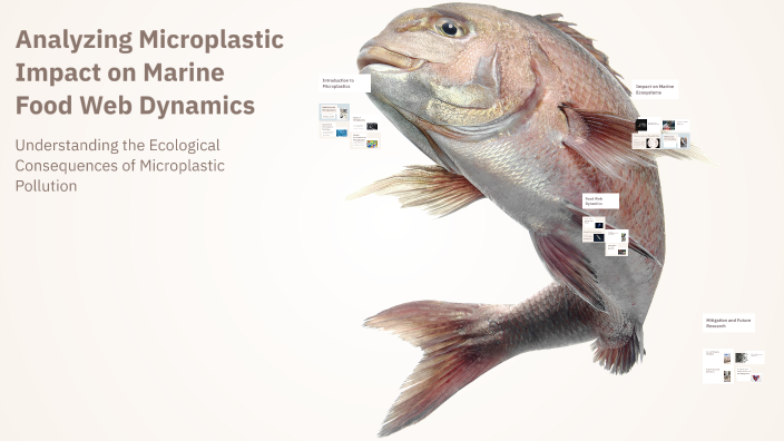 Analyzing Microplastic Impact on Marine Food Web Dynamics by Christ ...