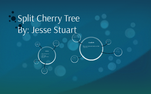 Split Cherry Tree by Brandon Brown