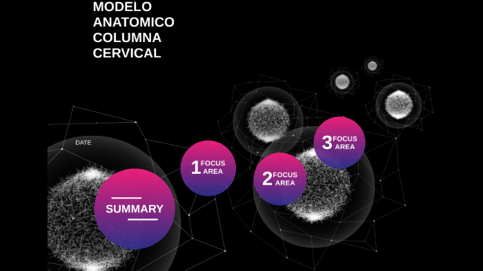 Modelo anatomico columna cervical by KEVIN YAIR CHIÑAS CASTILLEJOS on Prezi