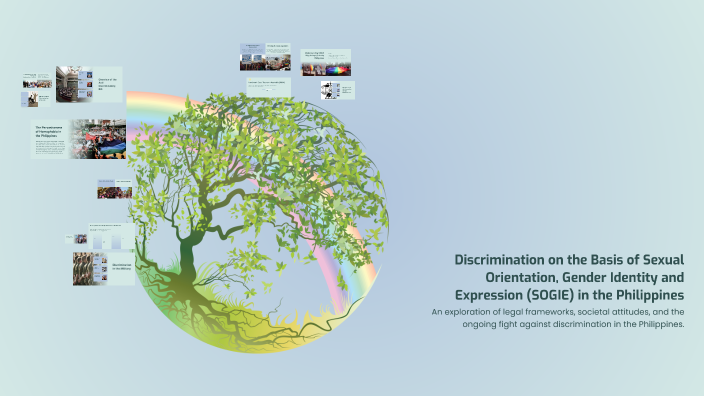 Discrimination On The Basis Of Sexual Orientation Gender Identity And