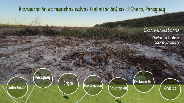 FIRE 2023 Restauración de manchas calvas by Rafaela Laino on Prezi