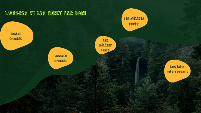 SC-6 trees and forest project by Gabriela Alves on Prezi