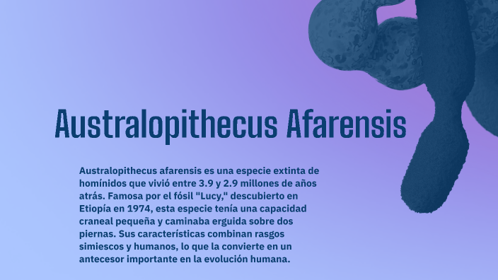 Australopithecus Afarensis by oreste jimenez on Prezi
