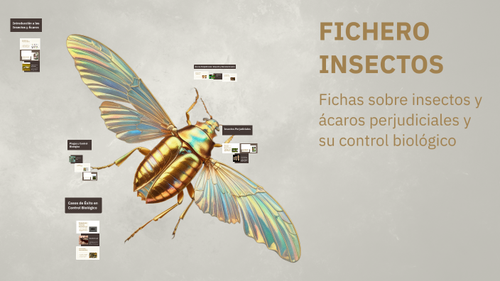 FICHERO INSECTOS by Mari Jimenez on Prezi