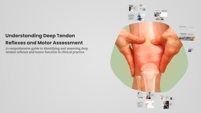 Understanding Deep Tendon Reflexes and Motor Assessment by annabelle ...