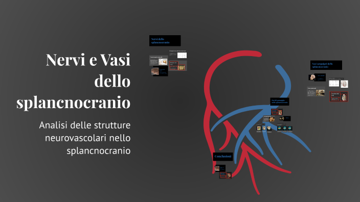 Nervi e Vasi dello Splancnocranio by davi on Prezi