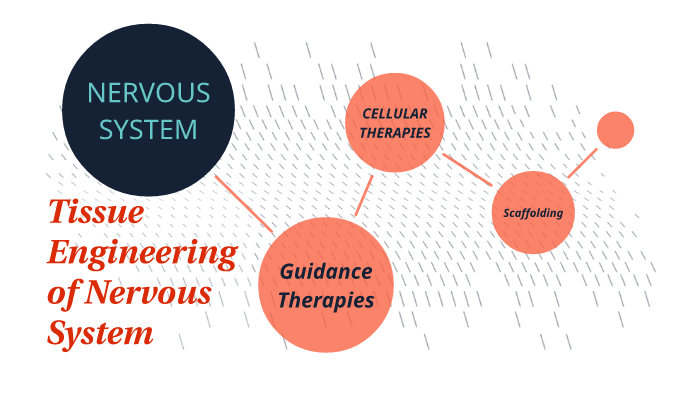 tissue engineering of nervous system by ayşe özmen on Prezi