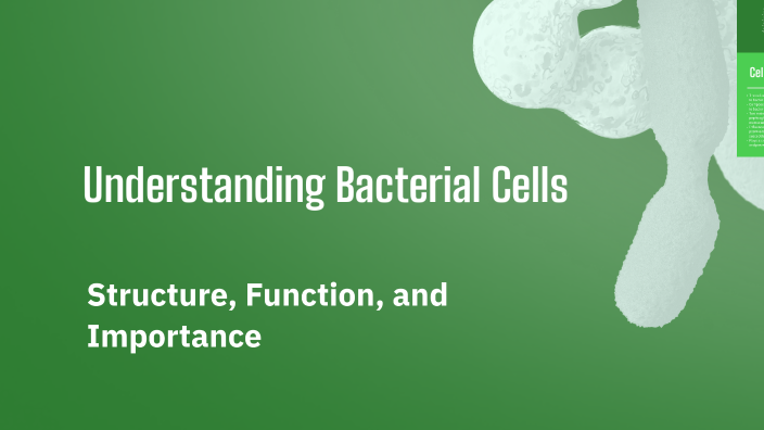 Understanding Bacterial Cells by Braylen Brown on Prezi