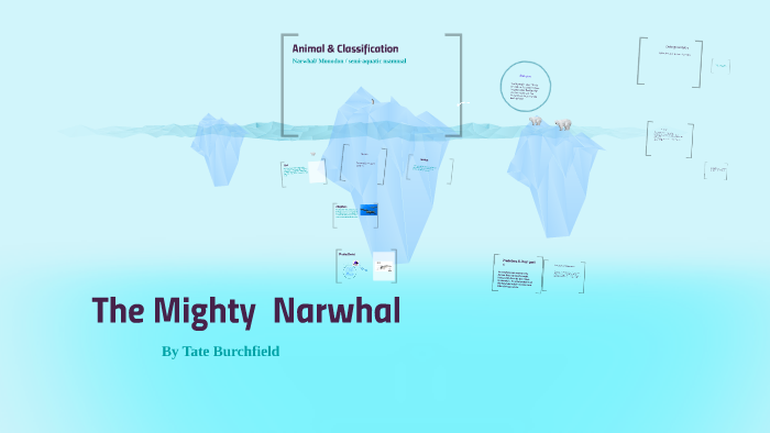 Animal & Classification by Tate Burchfield on Prezi