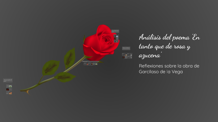Análisis del poema 'En tanto que de rosa y azucena' by Fabrizio ...