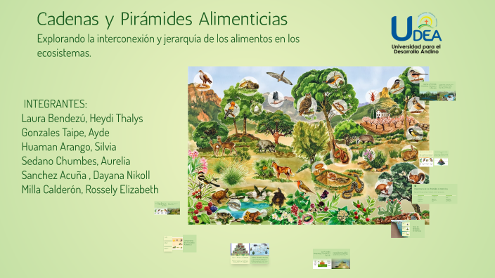 Cadenas y Pirámides Alimenticias by Heydi Laura Bendezú on Prezi