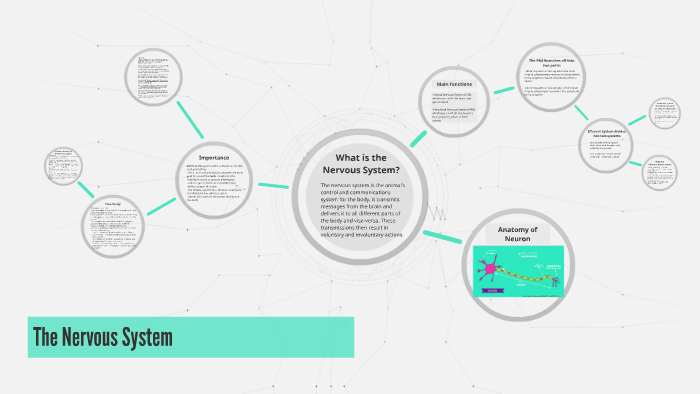 The Nervous System by Crystal Semple on Prezi