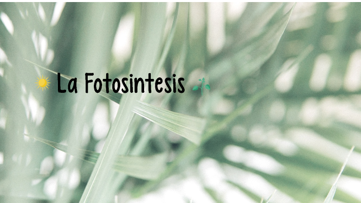 Th by Ingrid Angulo Hidalgo on Prezi