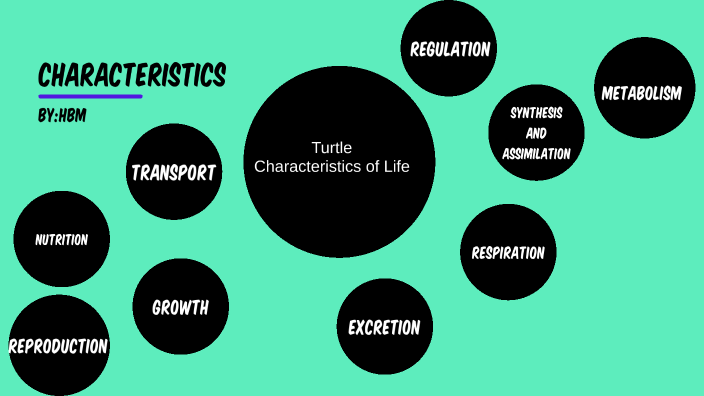 Characteristics of Life Concept Map by Hayes Dorgan on Prezi