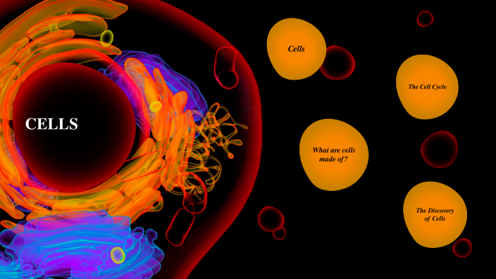 cells by jamile duarte on Prezi