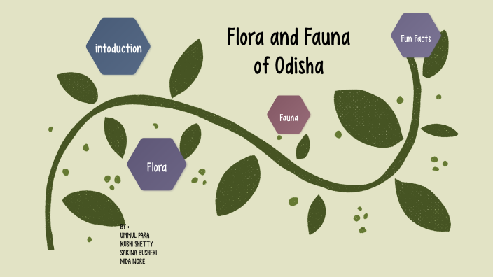 flora and fauna of Odisha by ummul para on Prezi