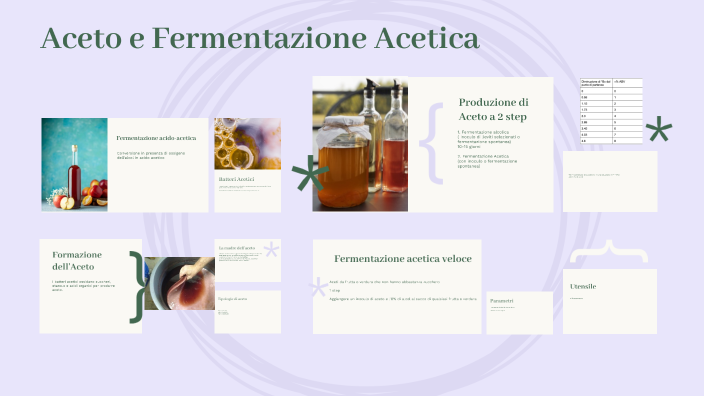 Aceto Fermentazione acetica by Mariasole Cuomo on Prezi