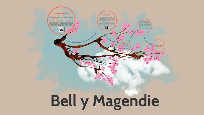 Bell y Magendie by Maria Cardona on Prezi