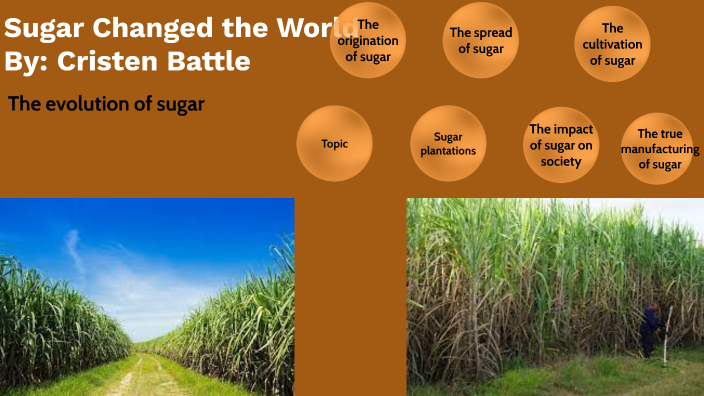 The evolution of sugar by Cristen Battle on Prezi