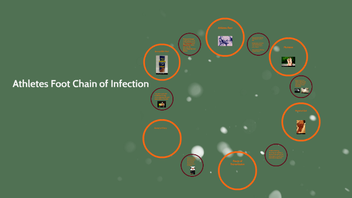 Athletes Foot Chain of Infection by Lauren Evans on Prezi