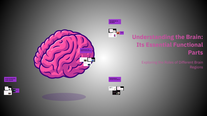 Understanding the Brain: Its Essential Functional Parts by Alina ...