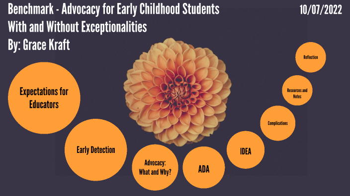 Benchmark - Advocacy for Early Childhood Students With and Without ...