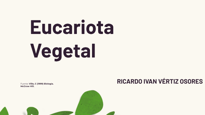 Eucariota Vegetal by Ricardo Ivan Vertiz Osores on Prezi