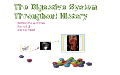 History of the Digestive System by Samantha Morales on Prezi