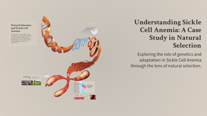 Understanding Sickle Cell Anemia: A Case Study in Natural Selection by ...